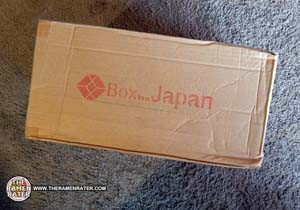 Another Great 'Box From Japan' - The Ramen Rater